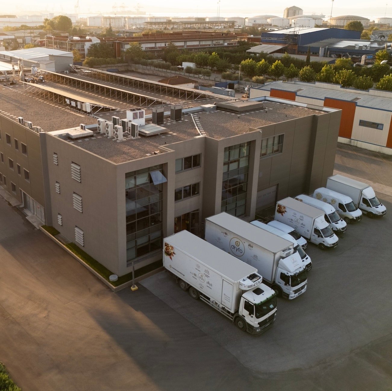 Finest Quality Nuts & Dry Fruits since 1950 - Dryfo